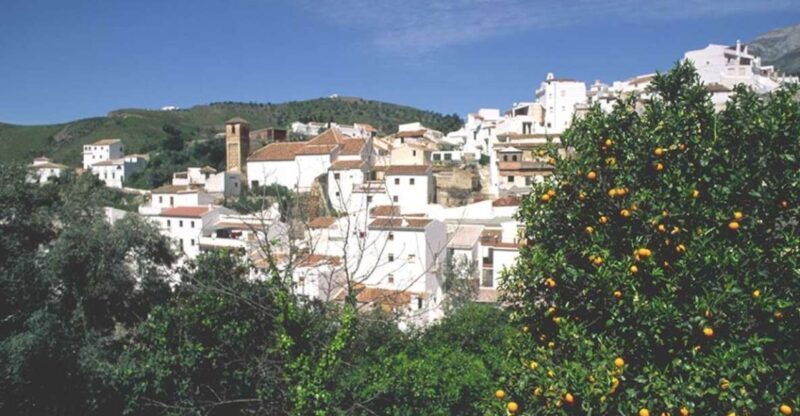 From Marbella: Axarquia Wine Tour with Wine Pairing Lunch - Key Points