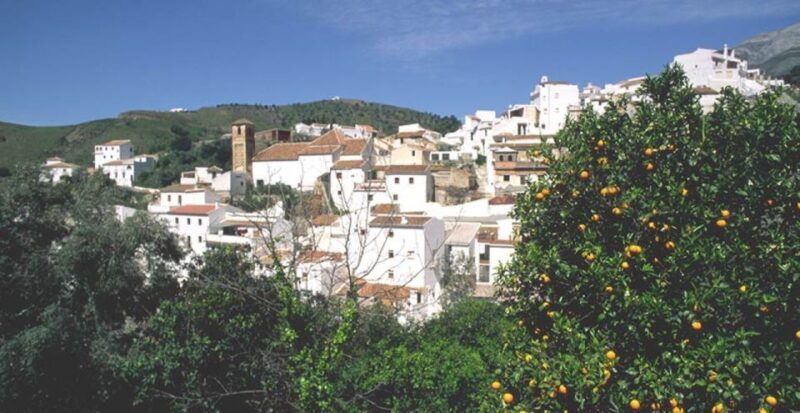 From Marbella: Axarquia Wine Tour with Wine Pairing Lunch - The Sum Up: Is This Tour Worth It?