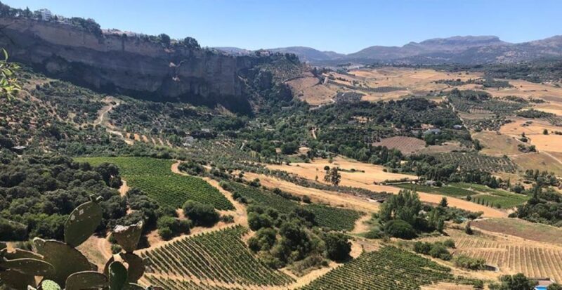 From Marbella: Classic Ronda Tour, 2 winery visits & lunch - A Well-Balanced Day of Wine, Views, and Historic Charm: Our Review of the Classic Ronda Tour from Marbella