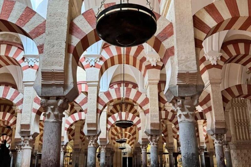 From Marbella: Cordoba Private Full-Day Trip - The Journey from Marbella to Córdoba