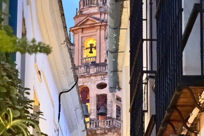 From Marbella: Cordoba Private Full-Day Trip - Guided Tour of Córdoba’s Key Highlights