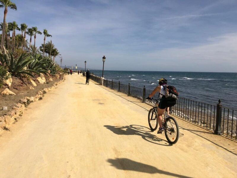From Marbella: Guided Bicycle Tour to Puerto Banús - What Travelers Are Saying