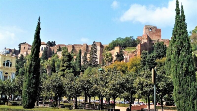 From Marbella: Malaga private Tour - Practical Tips for Travelers