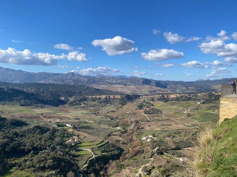 From Marbella: Ronda private tour, café, bullring, tapas, drinks, gift - Frequently Asked Questions