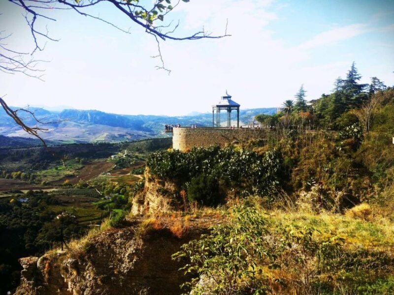 From Marbella: Ronda & Setenil de las Bodegas Private trip - Key Points