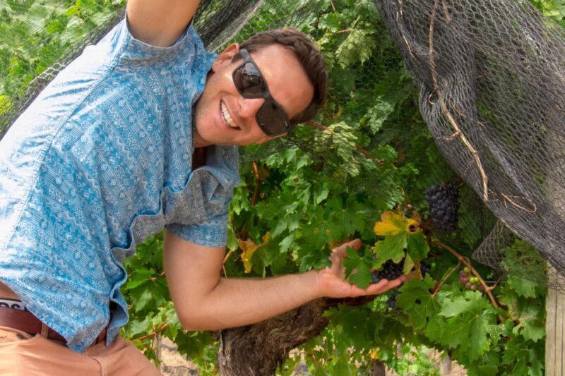 From Margaret River: Margaret River Wine Adventure - How the Tour Works: Step-by-Step
