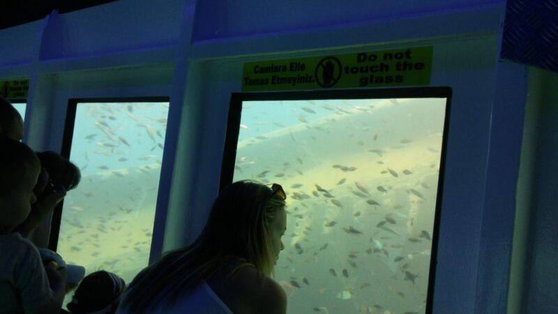 From Marmaris: Day Trip by Glass Bottom Semi Submarine - Considerations and Tips