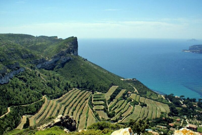 From Marseille: Bandol/Cassis Wine Tour with Viewpoint - An In-Depth Look at the Tour Experience