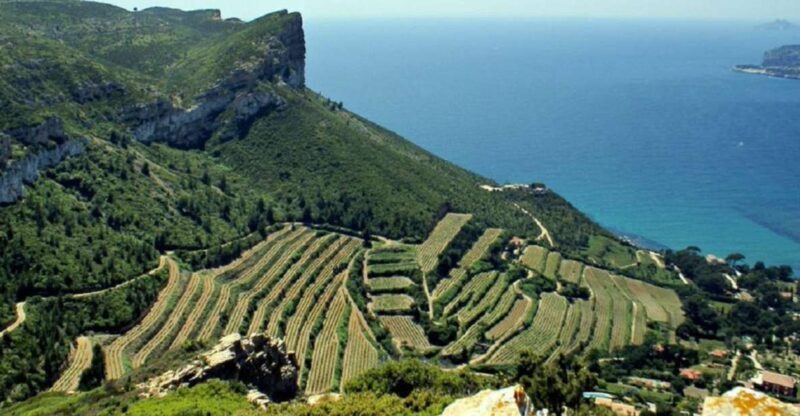 From Marseille: Bandol/Cassis Wine Tour with Viewpoint - The Pricing and Value Proposition