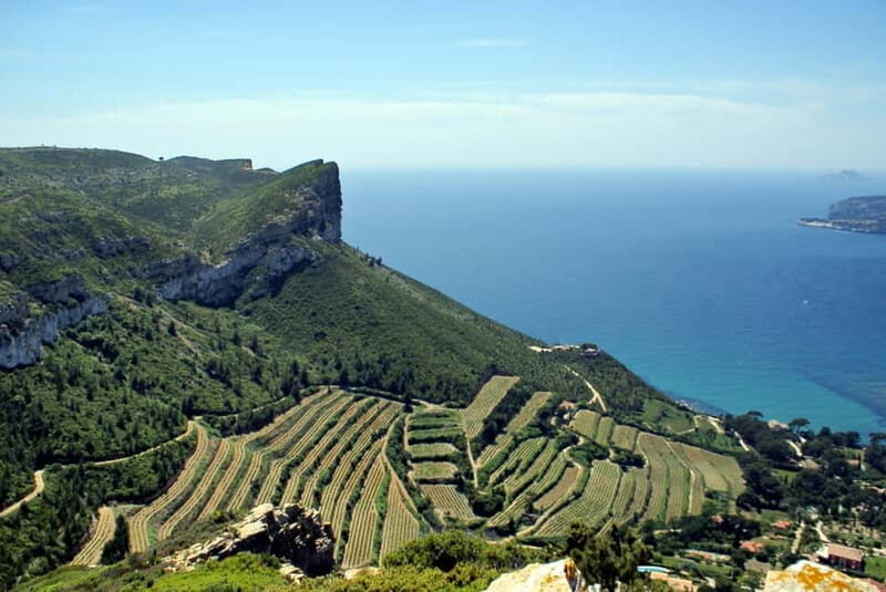 From Marseille: Cassis 4 hours - The Value of This Tour