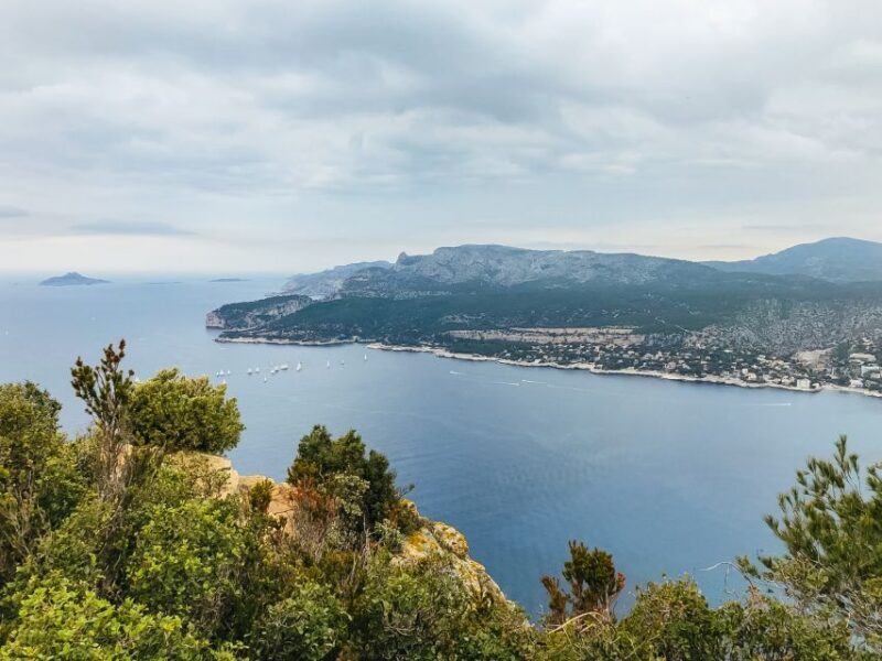 From Marseille: Cassis & Aix-en-Provence Half-Day Tour - Authentic Experiences and Highlighted Feedback