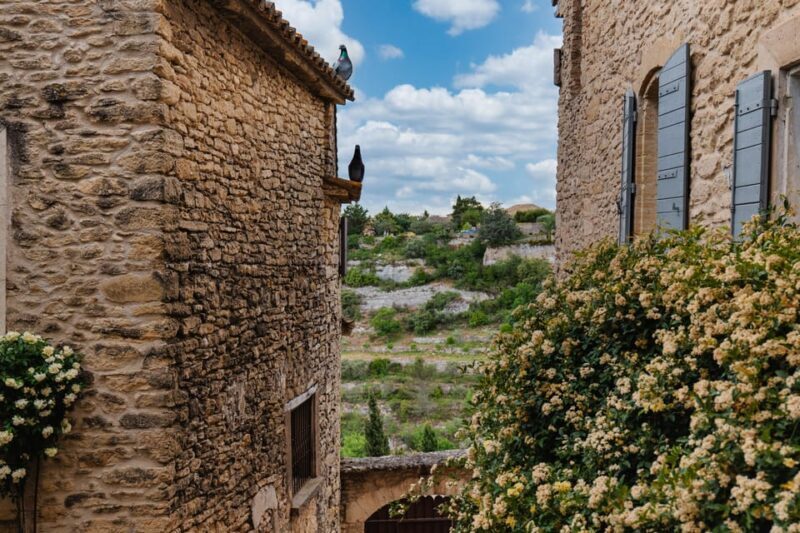 From Marseille Cruise Port: Luberon Villages - Authentic Experiences and Feedback