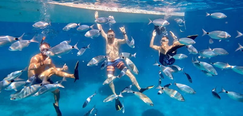 From Marseille: Iconic Calanques Boat Tour with Swimming - From Marseille: Iconic Calanques Boat Tour with Swimming