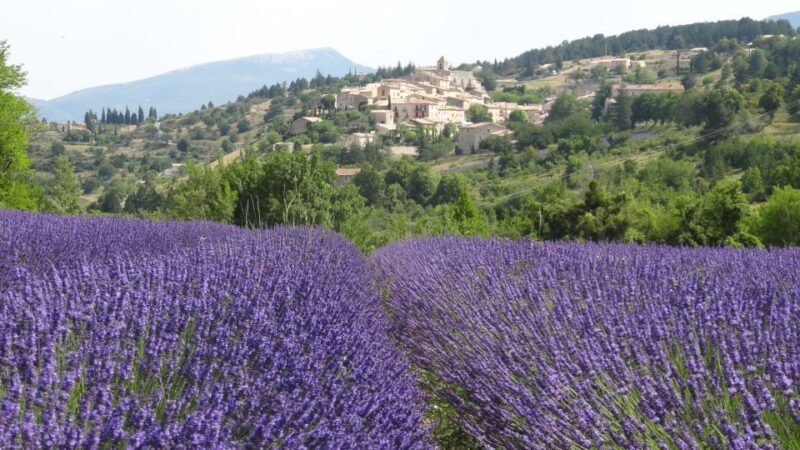 From Marseille: Lavender Full-Day Trip to Sault - The Value of the Experience