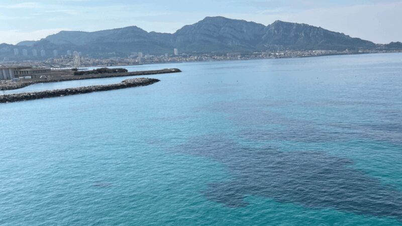From Marseille to Cassis: a journey to the heart of the calanques and traditions. - Why This Tour Delivers Value