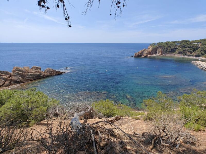 From Marseille to the Calanques Blueues by train, hike, lagoons and villages - Sea Caves and Relaxation in Season