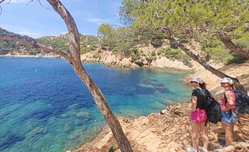From Marseille to the Calanques Blueues by train, hike, lagoons and villages - The Emerald Calanque and Panoramic Views