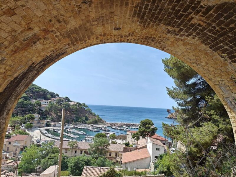 From Marseille to the Calanques Blueues by train, hike, lagoons and villages - What’s Included & What to Know