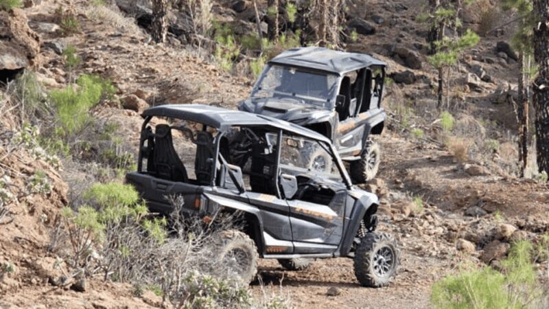 From Maspalomas: Volcanic Landscapes 4-Seater Buggy Tour - What’s Included and What’s Not