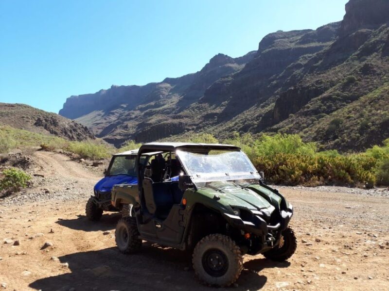From Maspalomas: Volcanic Landscapes 4-Seater Buggy Tour - The Experience: A Closer Look