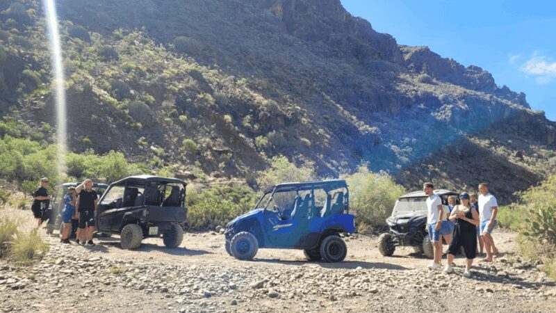 From Maspalomas: Volcanic Landscapes 4-Seater Buggy Tour - Final Thoughts