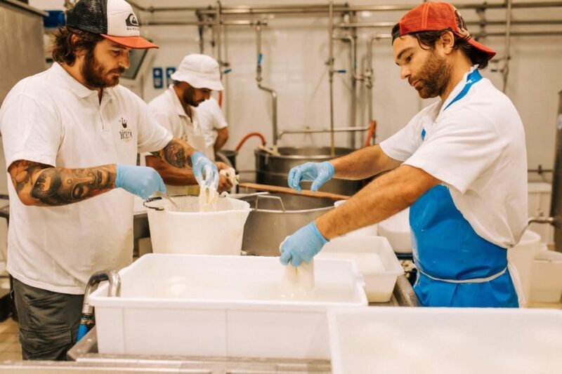 From Matera: Altamura Cheese and Pastry Tasting Day Trip - From Matera: Altamura Cheese and Pastry Tasting Day Trip - A Flavorful Foray into Puglia’s Heart