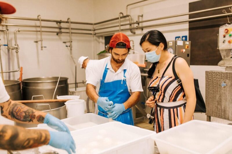 From Matera: Altamura Cheese and Pastry Tasting Day Trip - Key Points