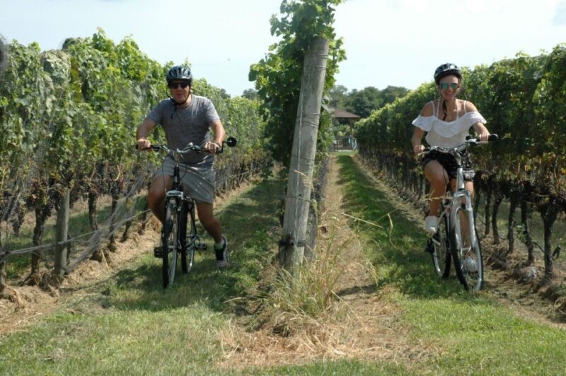 From Mattituck: North Fork Area Bike Tour with Food Tasting - Key Points