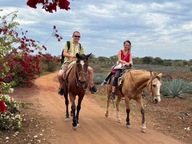 From Mazatlan: ATV & Horse Back riding with Tequila Tasting - Who Should Consider This Tour?