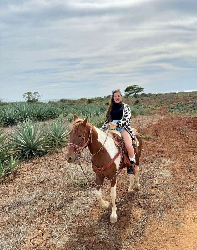 From Mazatlan: ATV & Horse Back riding with Tequila Tasting - How Do The Reviews Reflect the Experience?