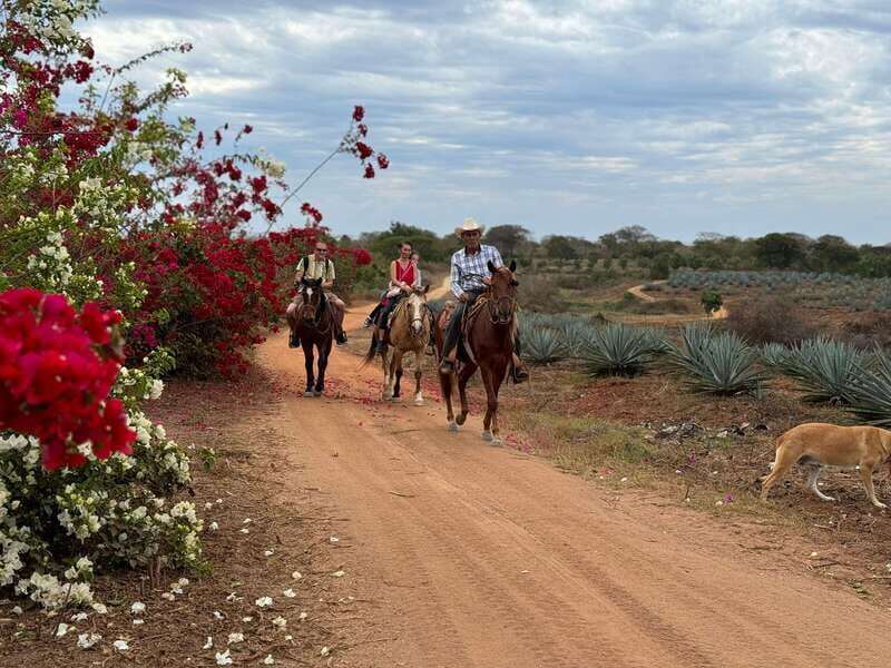 From Mazatlan: ATV & Horse Back riding with Tequila Tasting - Who Will Love This Tour?