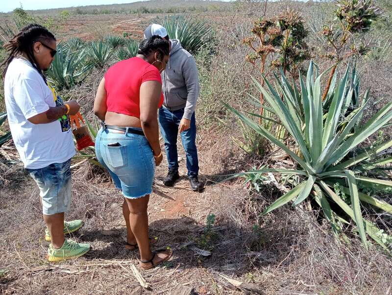 From Mazatlan: ATV & Horse Back riding with Tequila Tasting - Final Thoughts