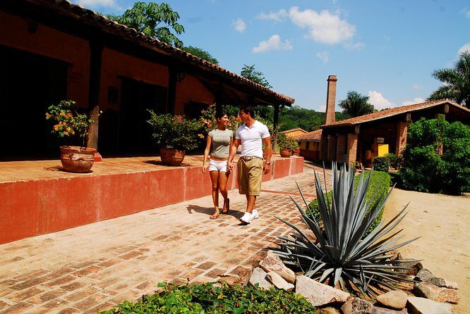 From Mazatlan - La Noria Artisan Tour The Blue Agave - Who Should Skip?