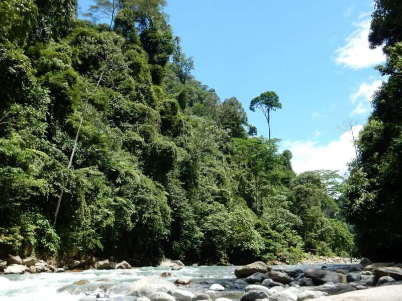 From Medan: 4 day tour to Bukit Lawang incl. jungle trek - Key Points