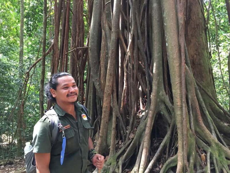 From Medan: 4 day tour to Bukit Lawang incl. jungle trek - What Makes This Tour Stand Out?