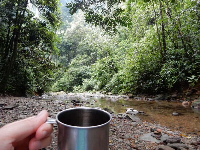 From Medan: 4 day tour to Bukit Lawang incl. jungle trek - Practical Details and What to Expect