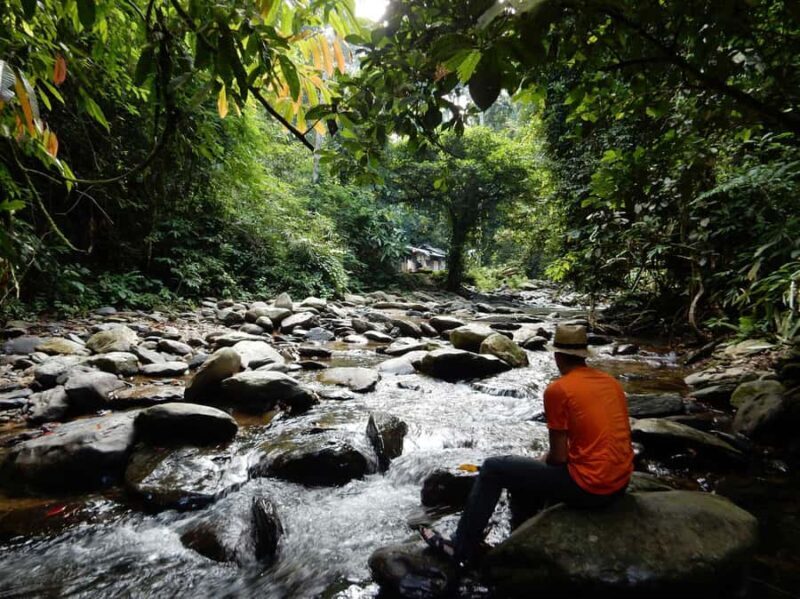 From Medan: 4 day tour to Bukit Lawang incl. jungle trek - Who Should Consider This Tour?