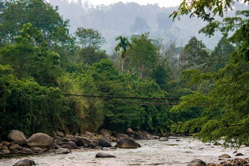 From Medan : Jungle Trekking for Orang Utan at Mount Leuser - Introduction: What’s This Tour All About?