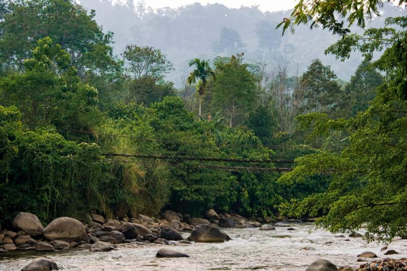 From Medan : Jungle Trekking for Orang Utan at Mount Leuser - Final Thoughts: Who Is This Tour Best For?