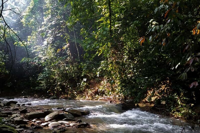 From Medan : Jungle Trekking for Orang Utan at Mount Leuser - FAQ