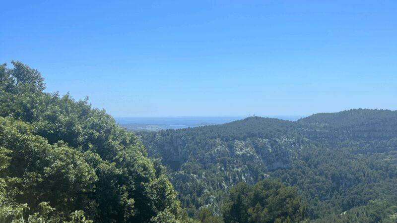 From medieval Evenos to Bandol wines : a taste of Provence - Who Will Love This Tour?