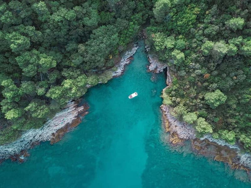 From Medulin: Istria Speedboat Tour with Snorkeling - A Closer Look at the Experience