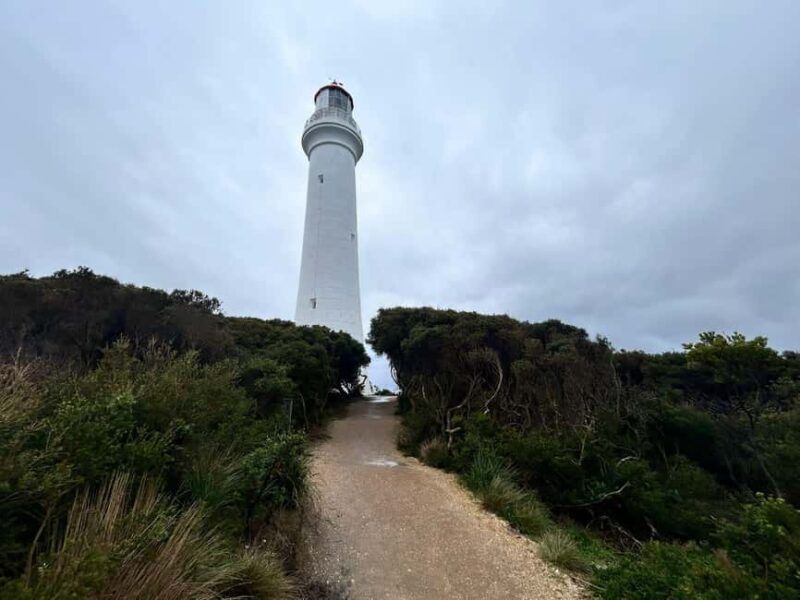 From Melbourne: 12 Apostles & Great Ocean Road Private Tour - Key Points