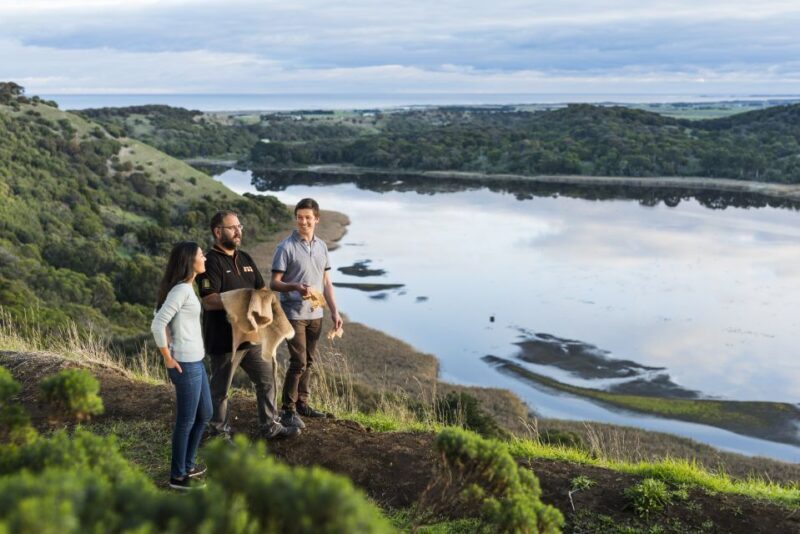 From Melbourne: 3-Day Great Ocean Road Grampians Tour - Analyzing the Experience: Value and Journey