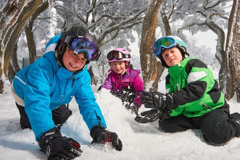 From Melbourne: Day Tour to Mt Buller with Snow Clothes - Deep Dive into the Itinerary