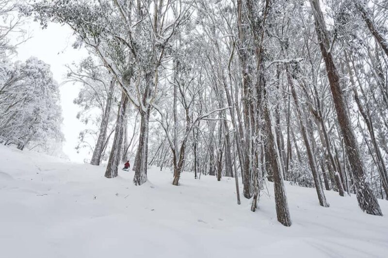From Melbourne: Day Tour to Mt Buller with Snow Clothes - FAQs