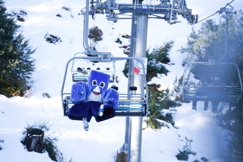 From Melbourne: Day Trip to Mt Buller by Premium Tour Coach - The Itinerary Breakdown: What You Can Expect