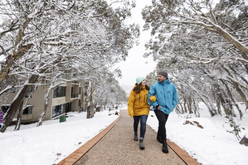 From Melbourne: Day Trip to Mt Buller by Premium Tour Coach - Who Should Consider This Tour?