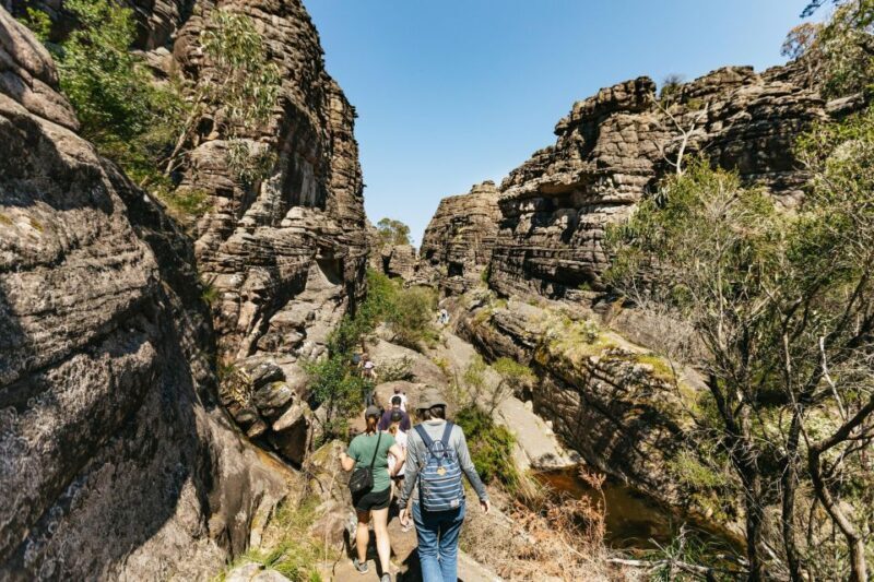 From Melbourne: Grampians National Park Group Tour - Who Should Consider This Tour