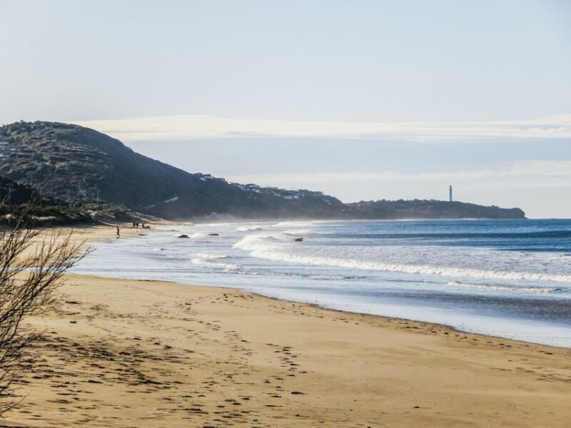 From Melbourne: Great Ocean Road, 12 Apostles, Wildlife Tour - The Pole House and Photo Opportunities